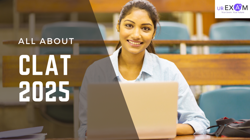 Learning Management Systems (LMS): A Beginner's Guide